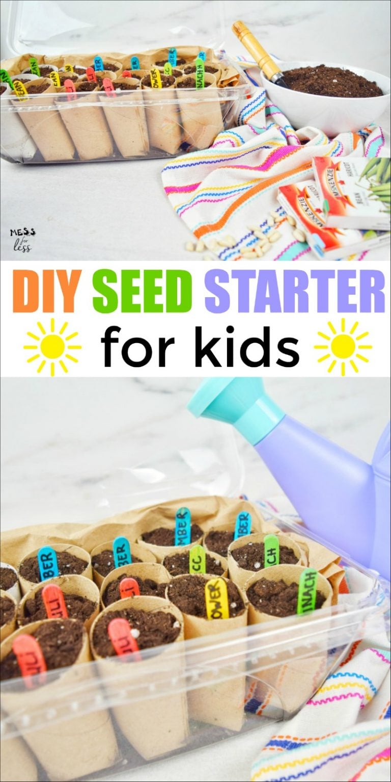 DIY Seed Starter for Kids - Mess for Less