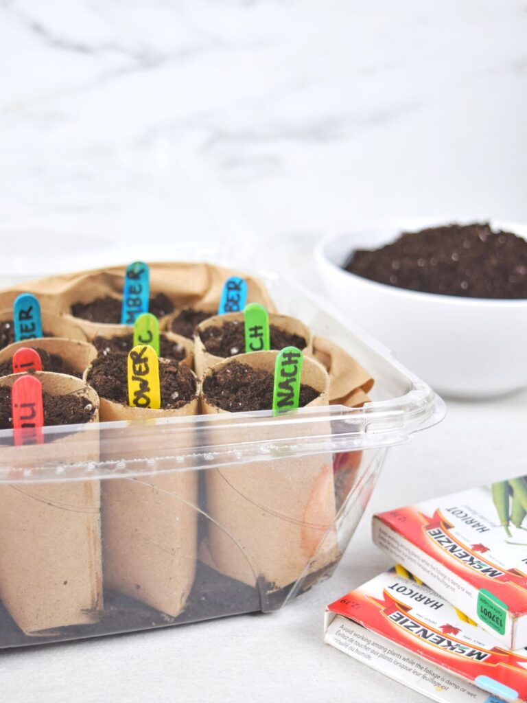 DIY Seed Starter for Kids - Mess for Less