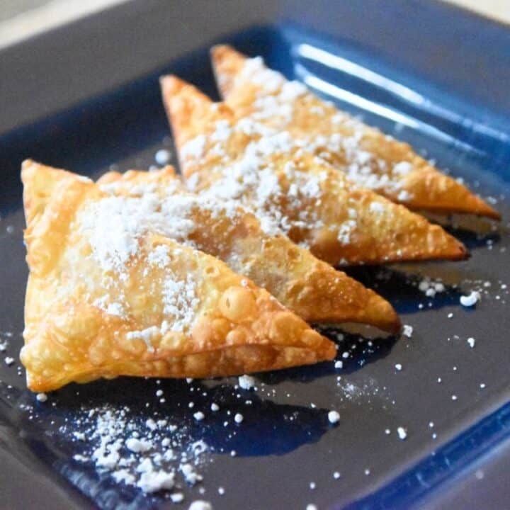 Apple Pie Fried Wonton Recipe - Mess for Less