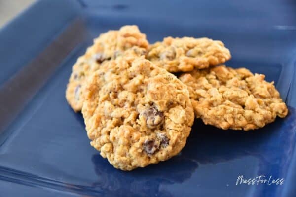 Instant Oatmeal Cookies - Mess for Less