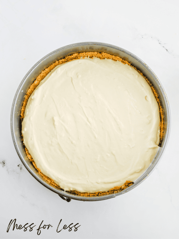 Easy No Bake Cheesecake Recipe - Mess for Less