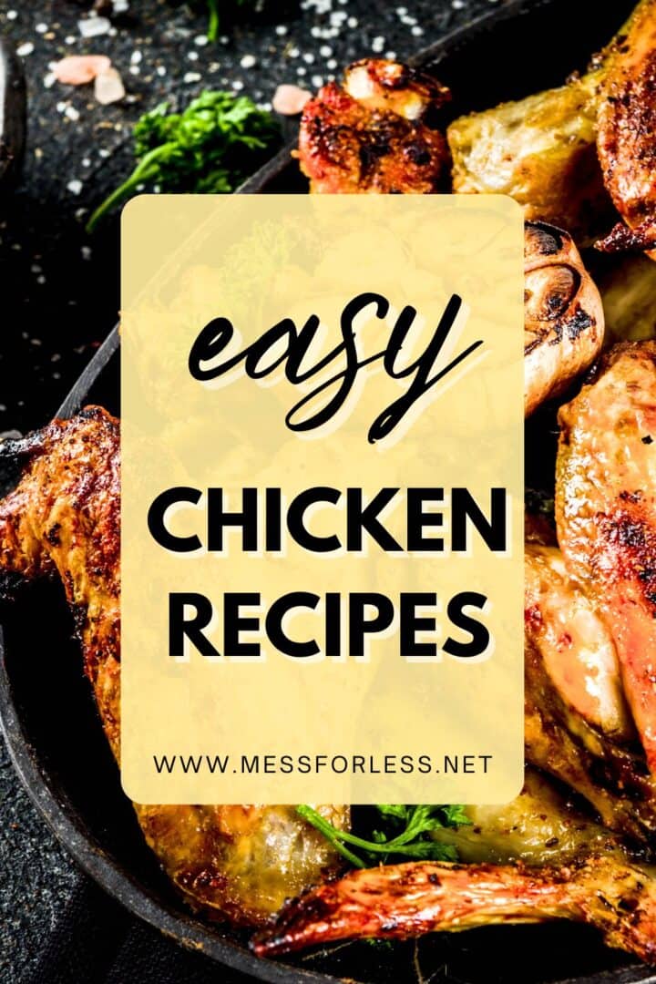 Chicken Recipes - Mess for Less