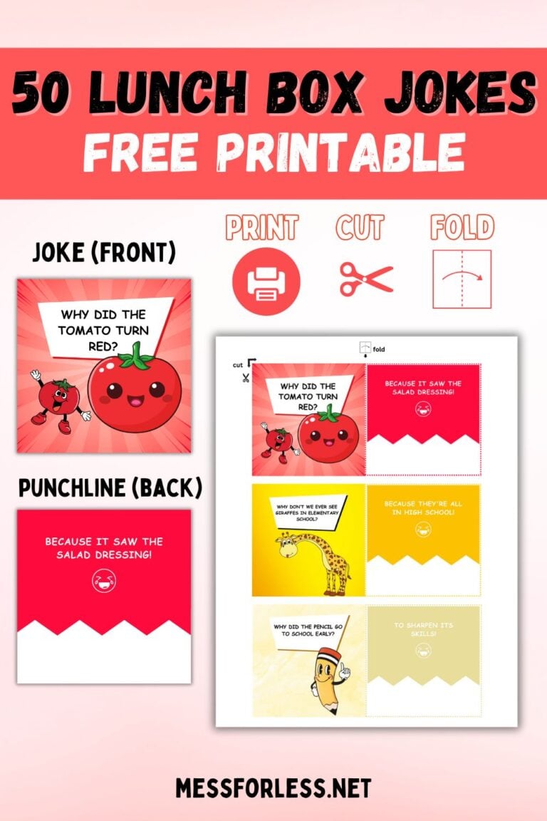 Lunch Box Jokes - Mess for Less