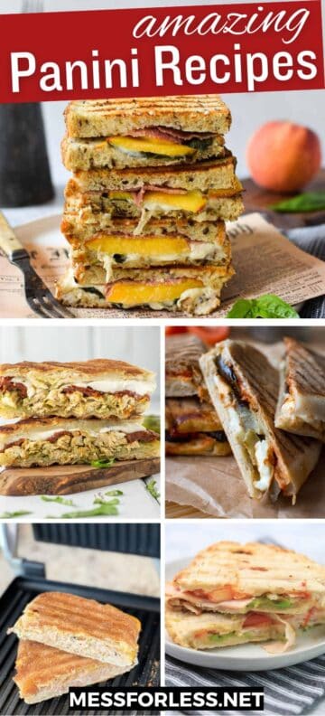 Panini Recipes - Mess for Less