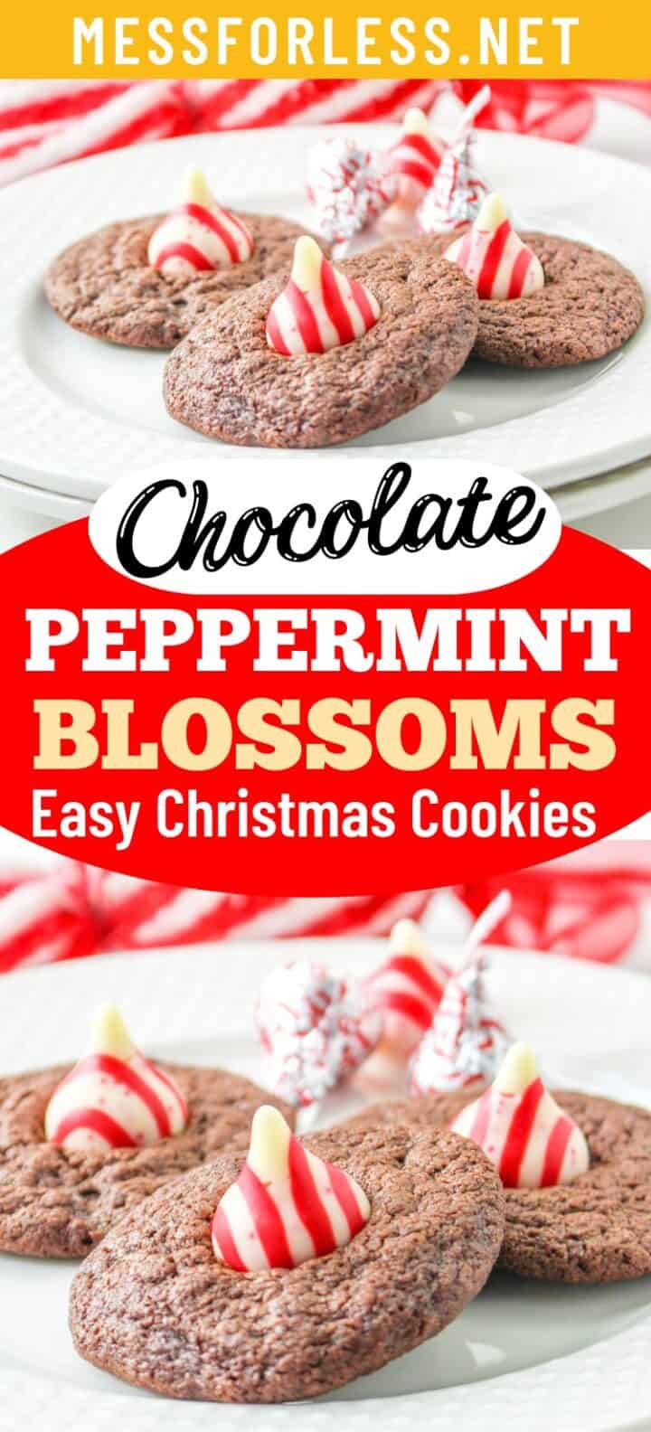 Chocolate Peppermint Blossoms Recipe - Mess for Less