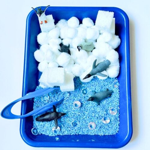 Penguin Sensory Bin - Mess for Less