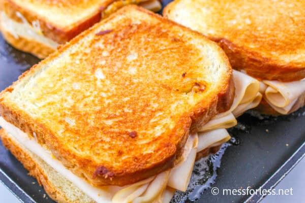 Chipotle Chicken Avocado Melt - Mess for Less