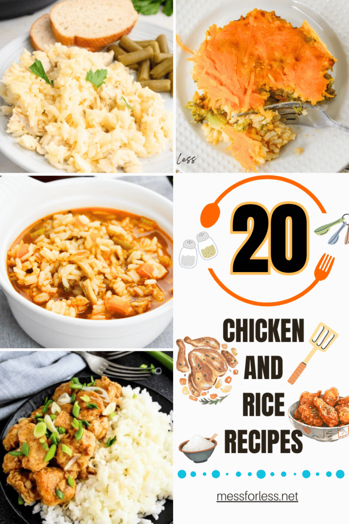Chicken And Rice Recipes - Mess for Less
